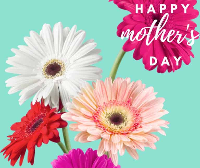 Bellas tarjetas gratis para el día de la madre en español e inglés ...